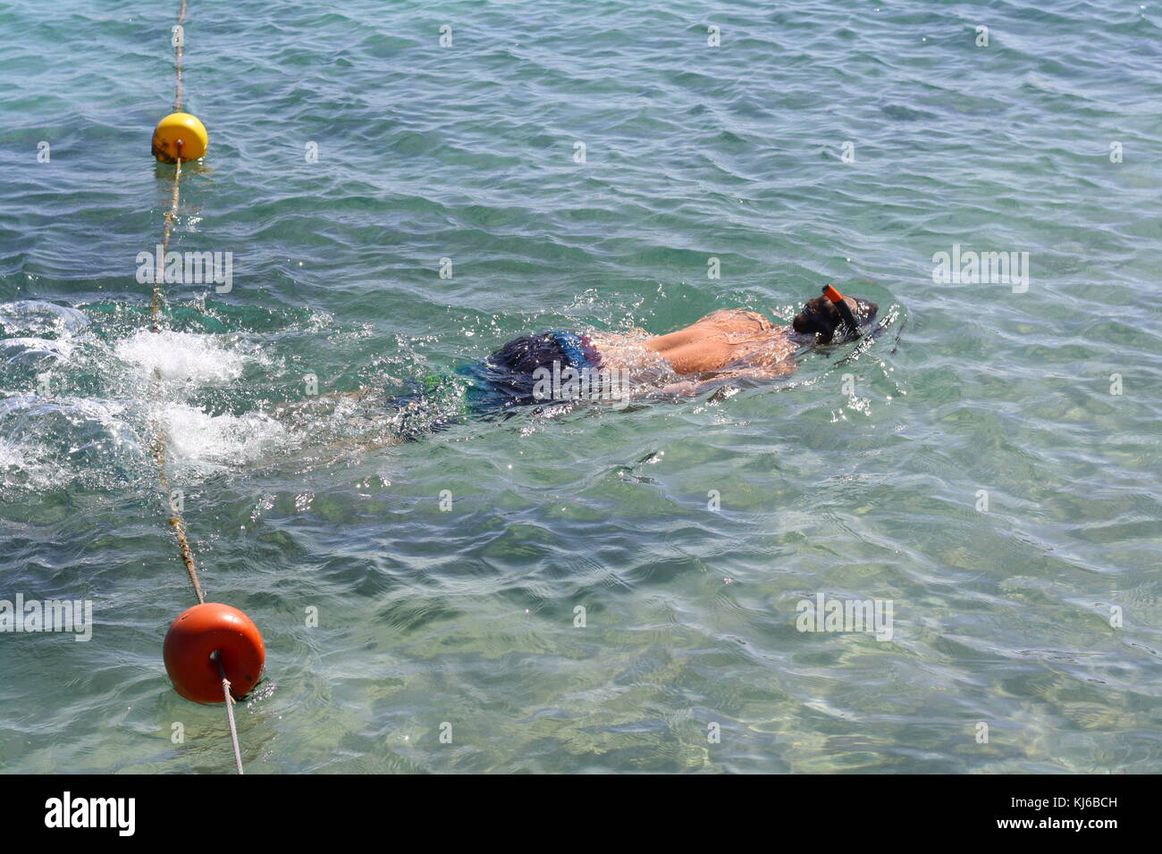 A snorkel diving in the beach sea water, to find shells and observe ...