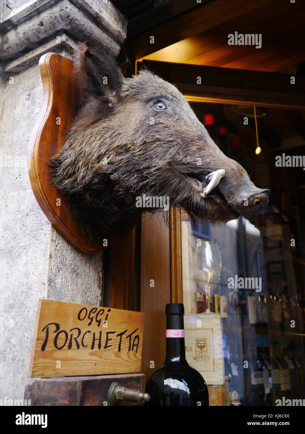 A Wild Boars head on display outside a Deli in Siena,Tuscany,Italy ...