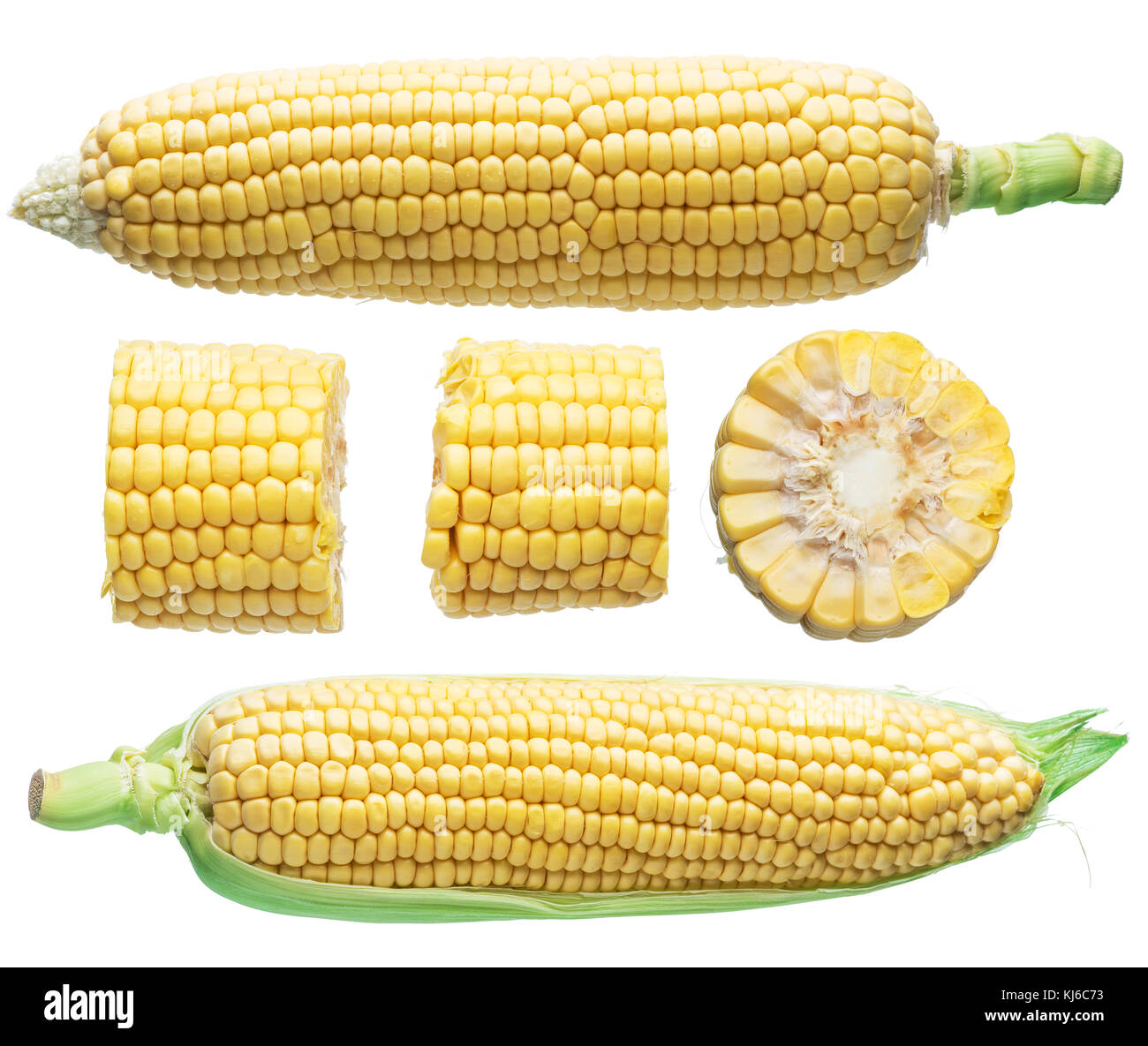 Ripe maize ear on Cut Out Stock Images & Pictures - Alamy