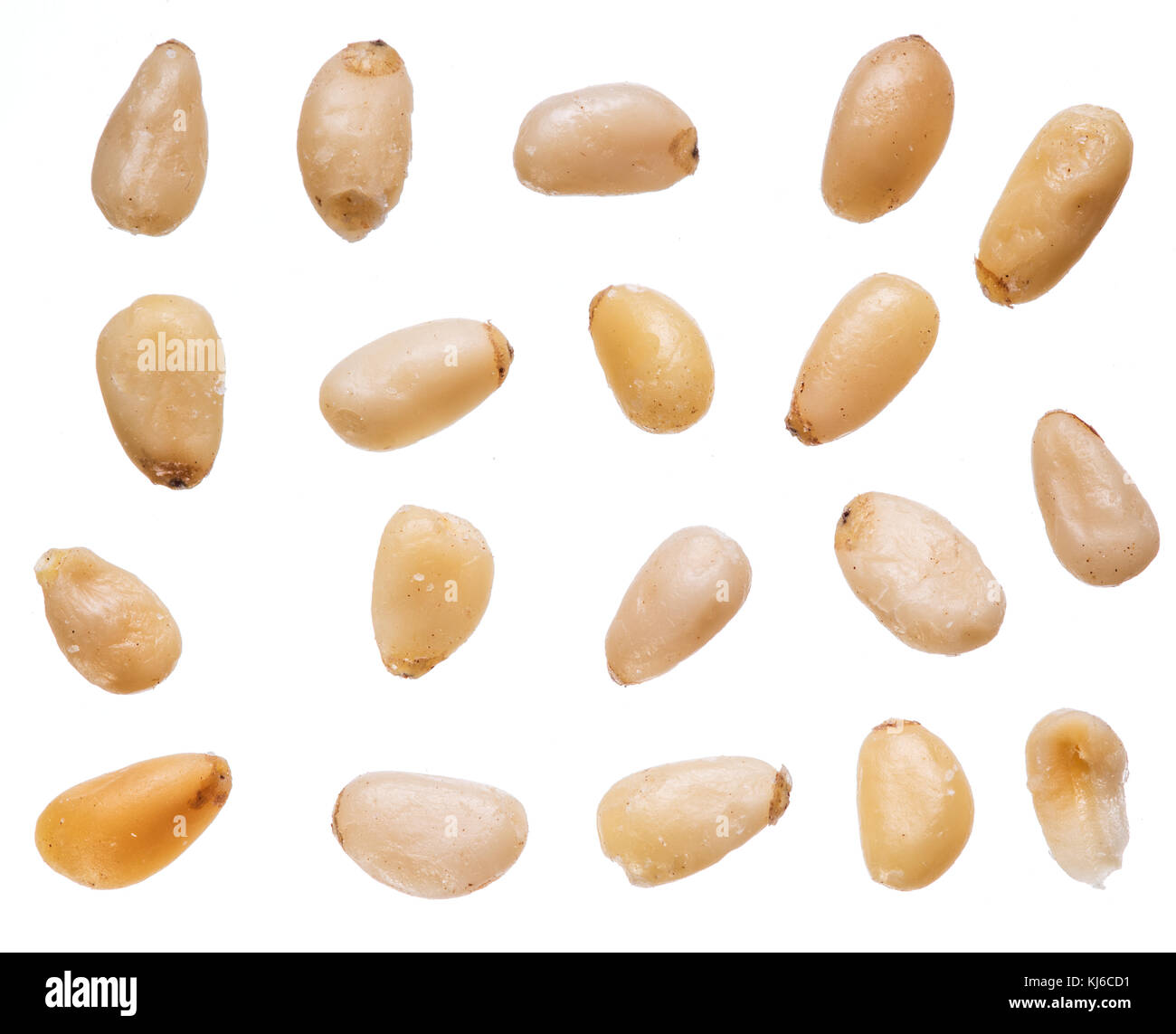 Seeds of pines or pine nuts on the white background Stock Photo - Alamy