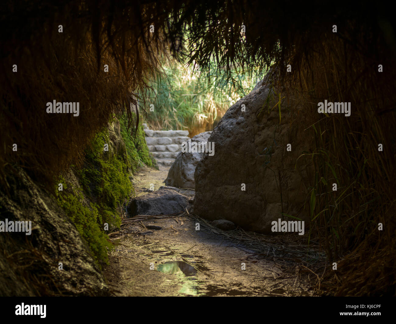 View of a cave, Dodim Cave, En Gedi Nature Reserve, Judean Desert, Dead ...