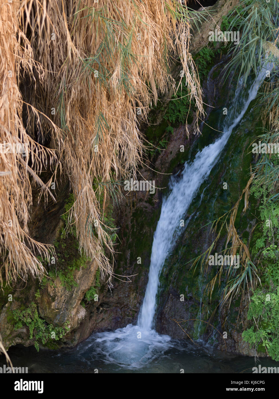 Water falling from rock, En Gedi Nature Reserve, Judean Desert, Dead ...