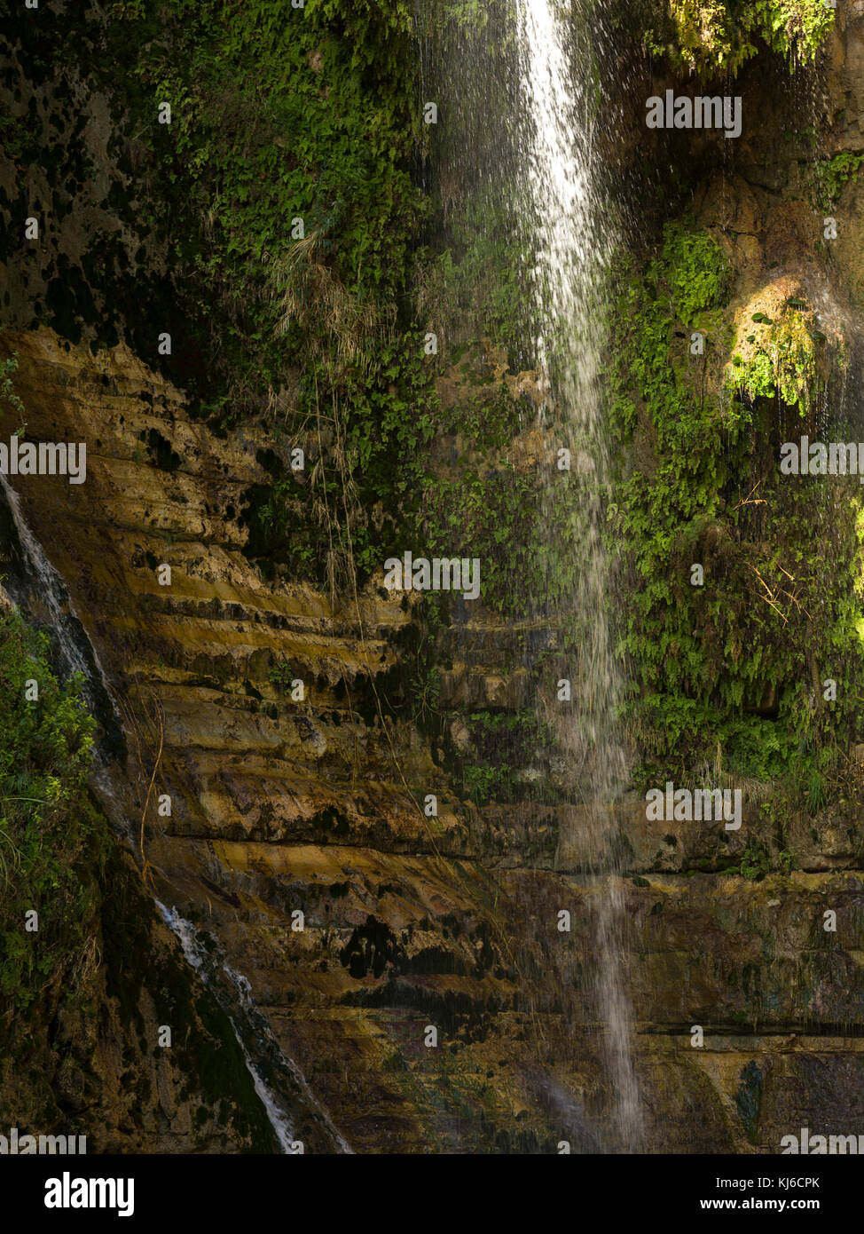 Water falling from rock, David Waterfall, En Gedi Nature Reserve ...