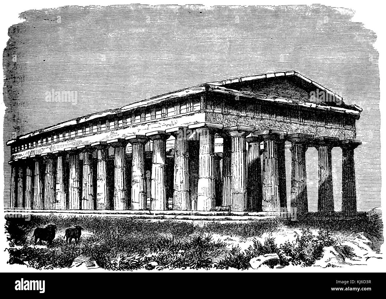 Temple of Neptune at Paestum (Neptuntempel zu Pästum Stock Photo - Alamy