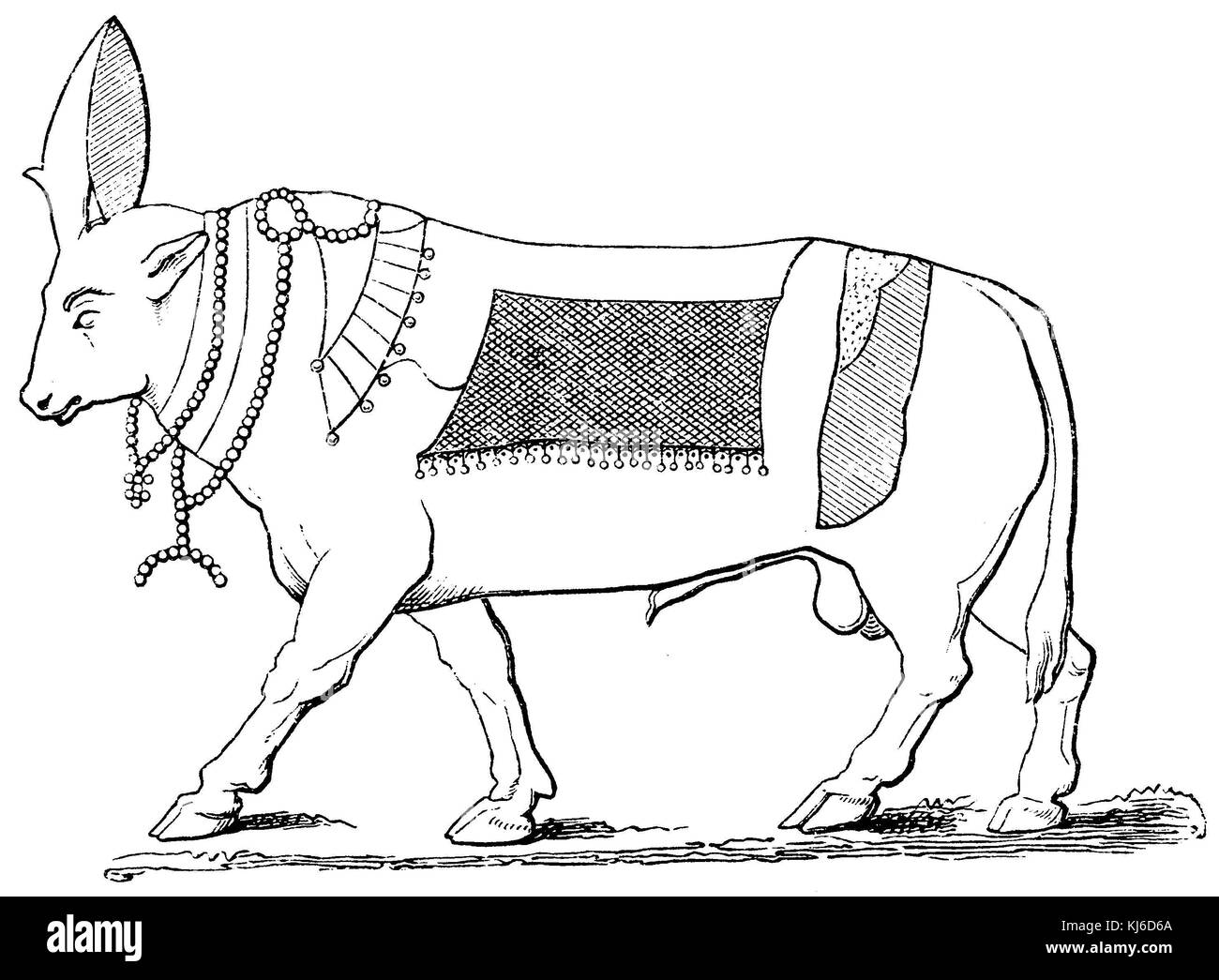 Nordafrika Cut Out Stock Images & Pictures - Alamy