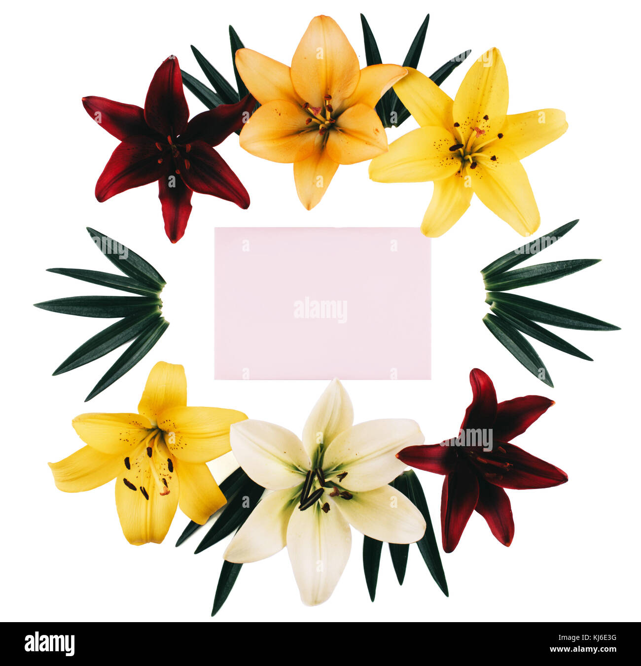 Beautiful lilies with leaves isolated on white background. Top view ...