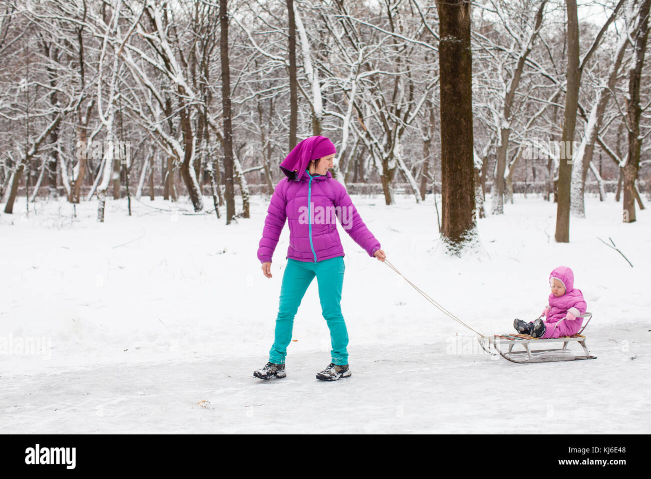 Ride on a sled in the winter woods Stock Photo - Alamy