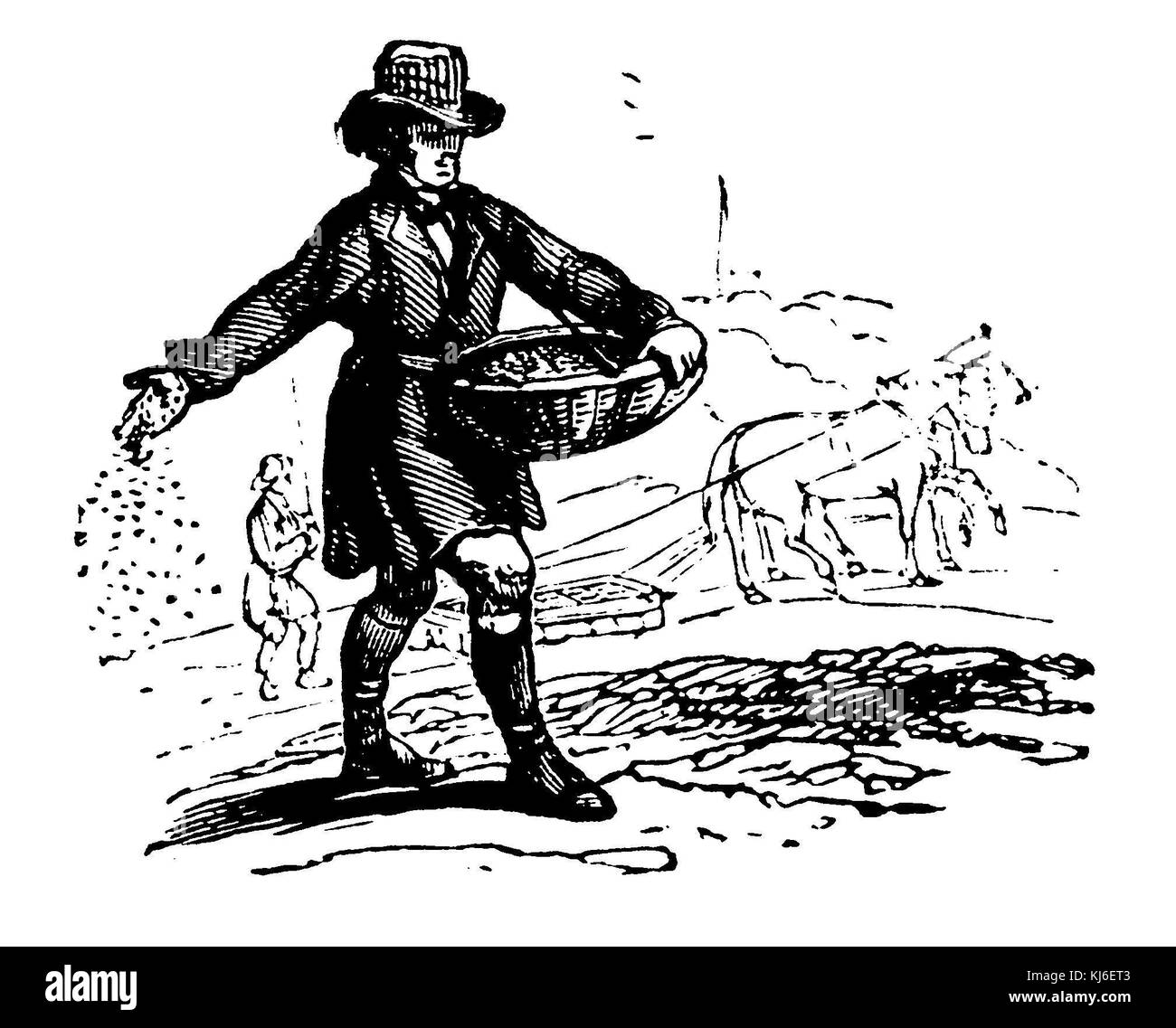 Sower and the seed hi-res stock photography and images - Alamy