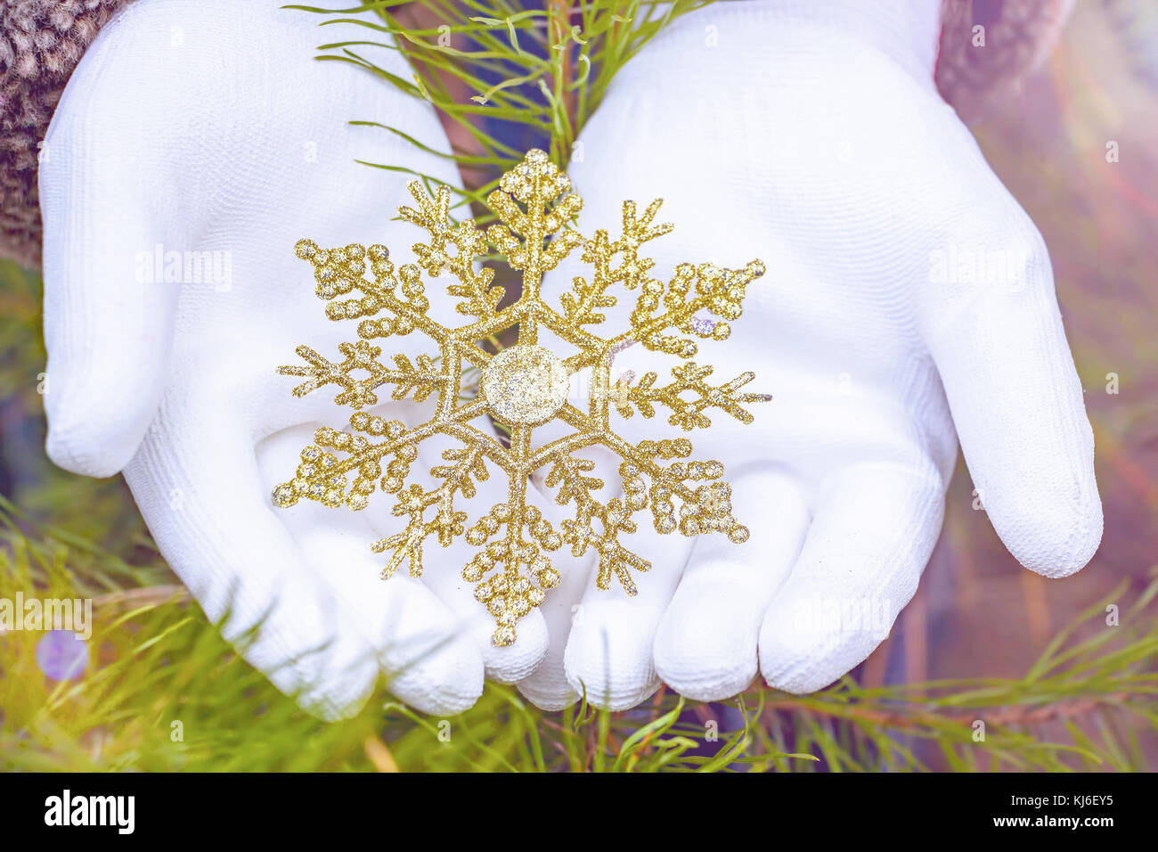 Hands in gloves hold artificial snowflake Stock Photo - Alamy