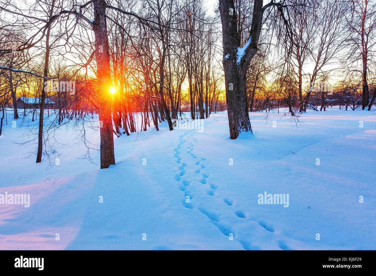 Colorful winter sunset Stock Photo - Alamy