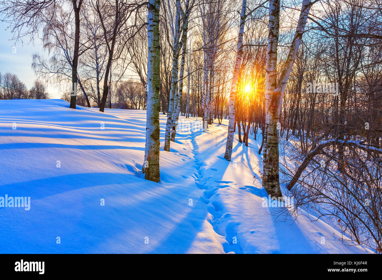 Colorful winter sunset Stock Photo - Alamy
