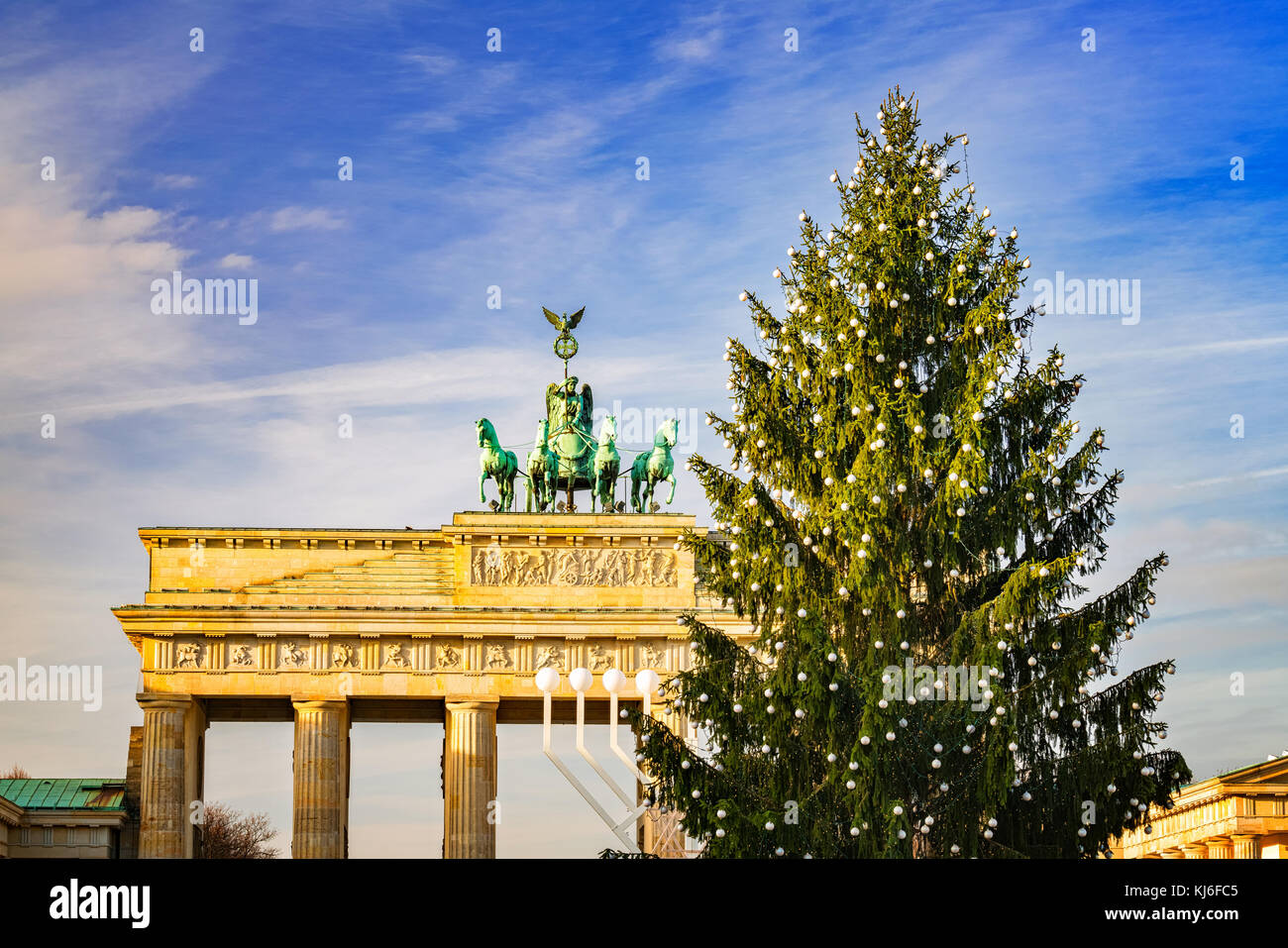 Tree gate hi-res stock photography and images - Alamy