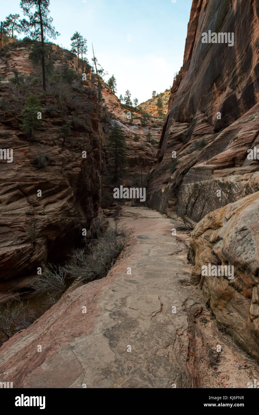Smooth Rock Trail Through Canyon Walls in Zion Stock Photo - Alamy