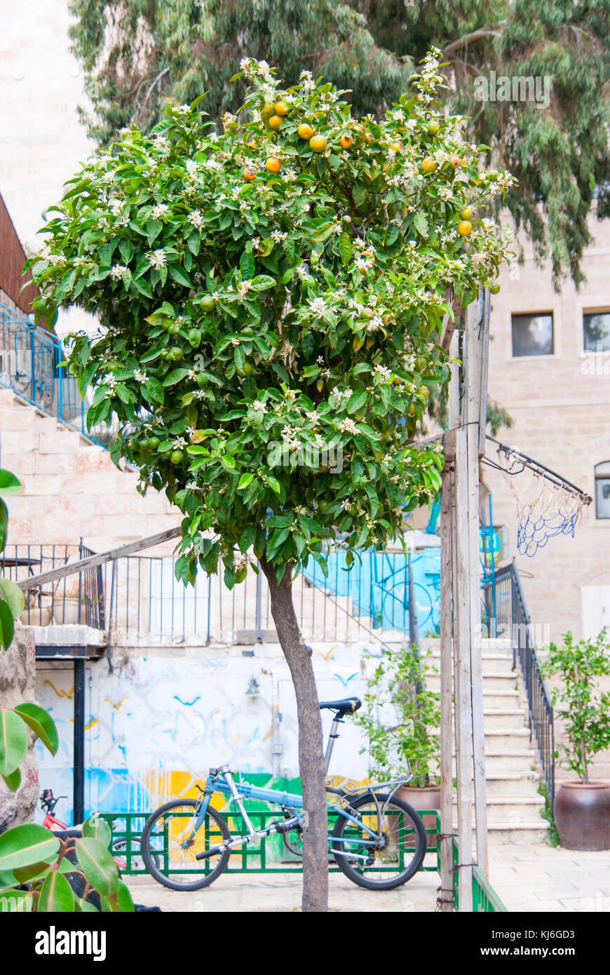 Jerusalemcourtyard hi-res stock photography and images - Alamy