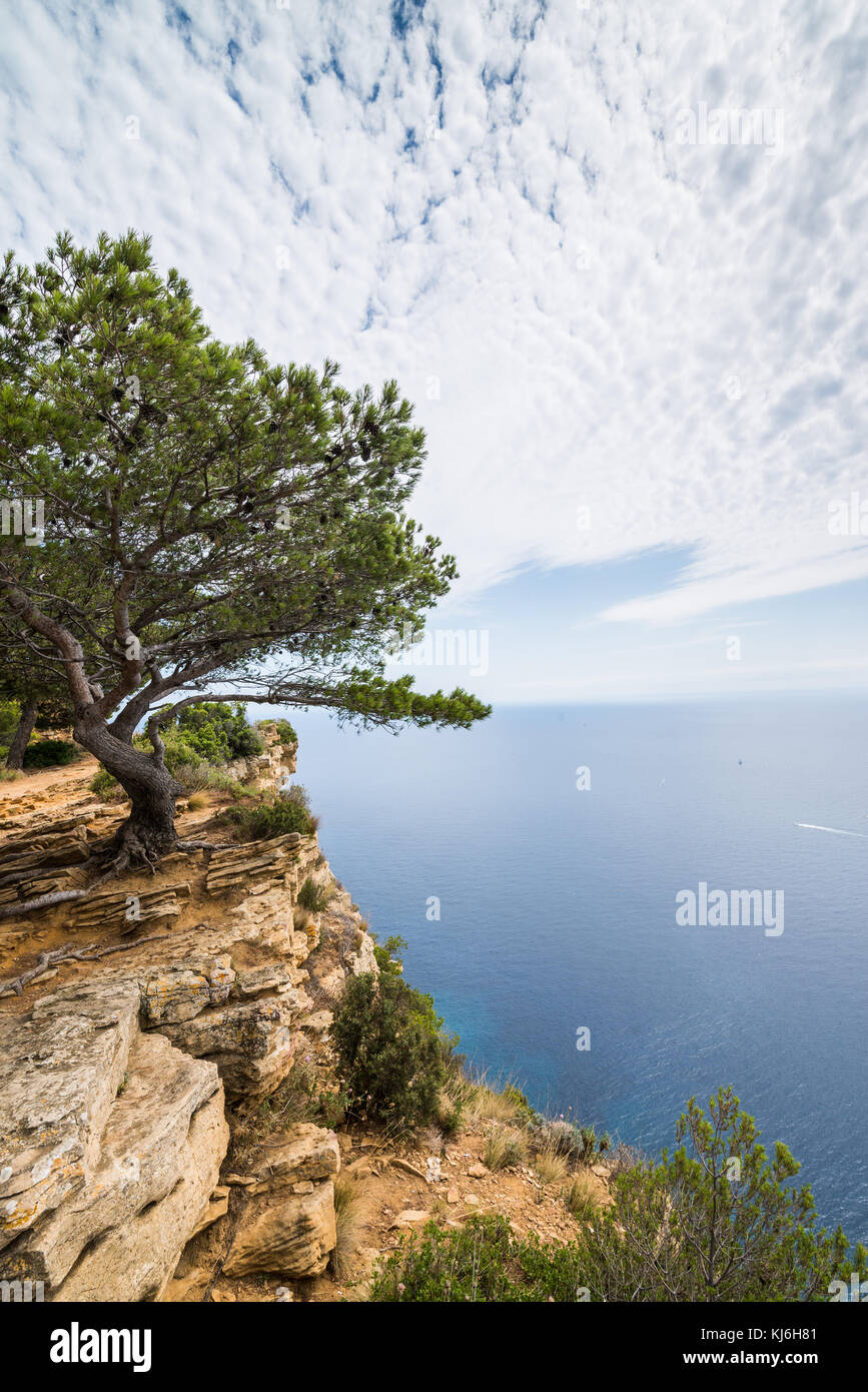 Aerial view of the landscape and Cassis, Provence, France, Europe Stock ...