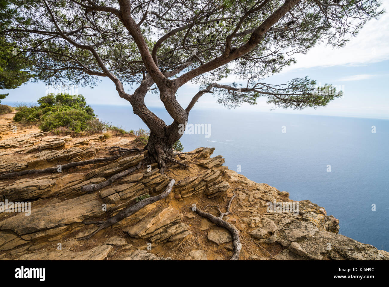 Aerial view of the landscape and Cassis, Provence, France, Europe Stock ...