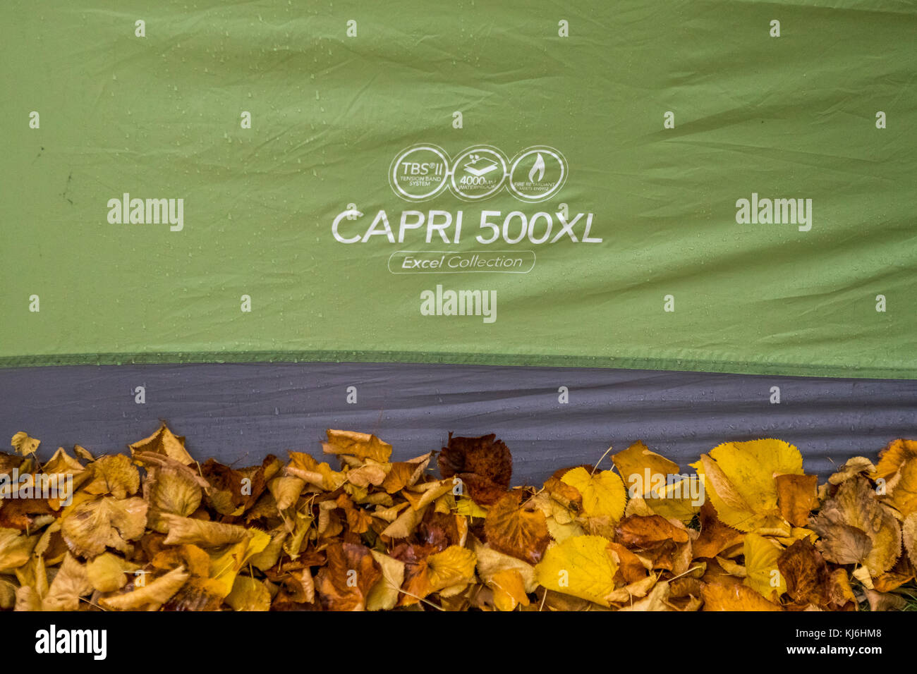 Autumn camping. Autumn leaves lie alongside a Vango Capri 500XL tent ...