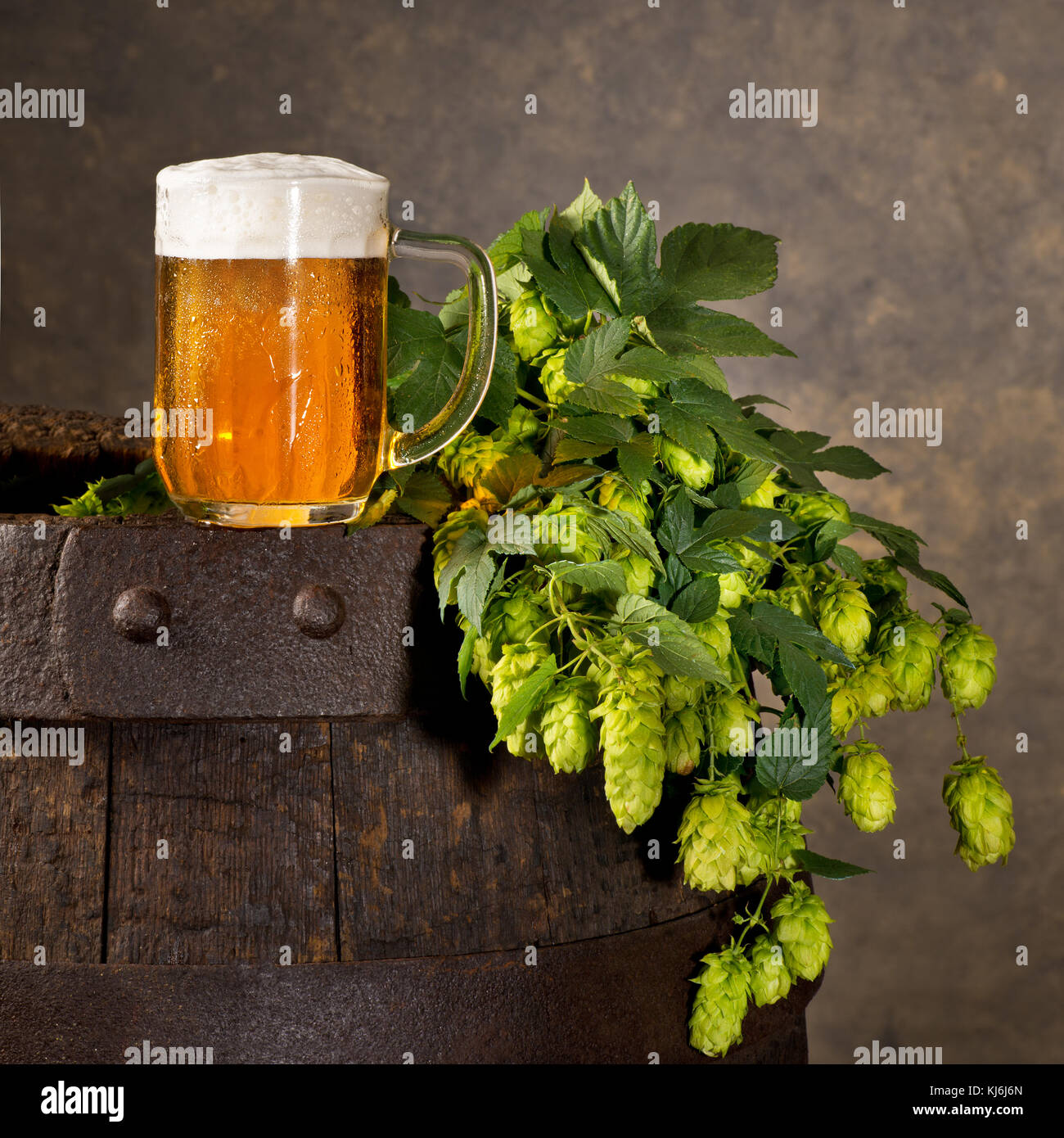 Glass beer ingredients brewing hi-res stock photography and images - Alamy