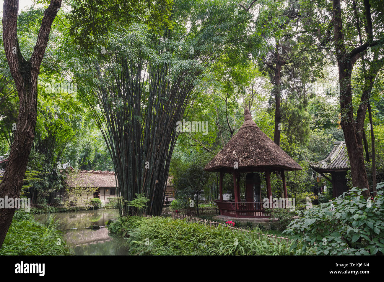 Birth Death And Du Fu