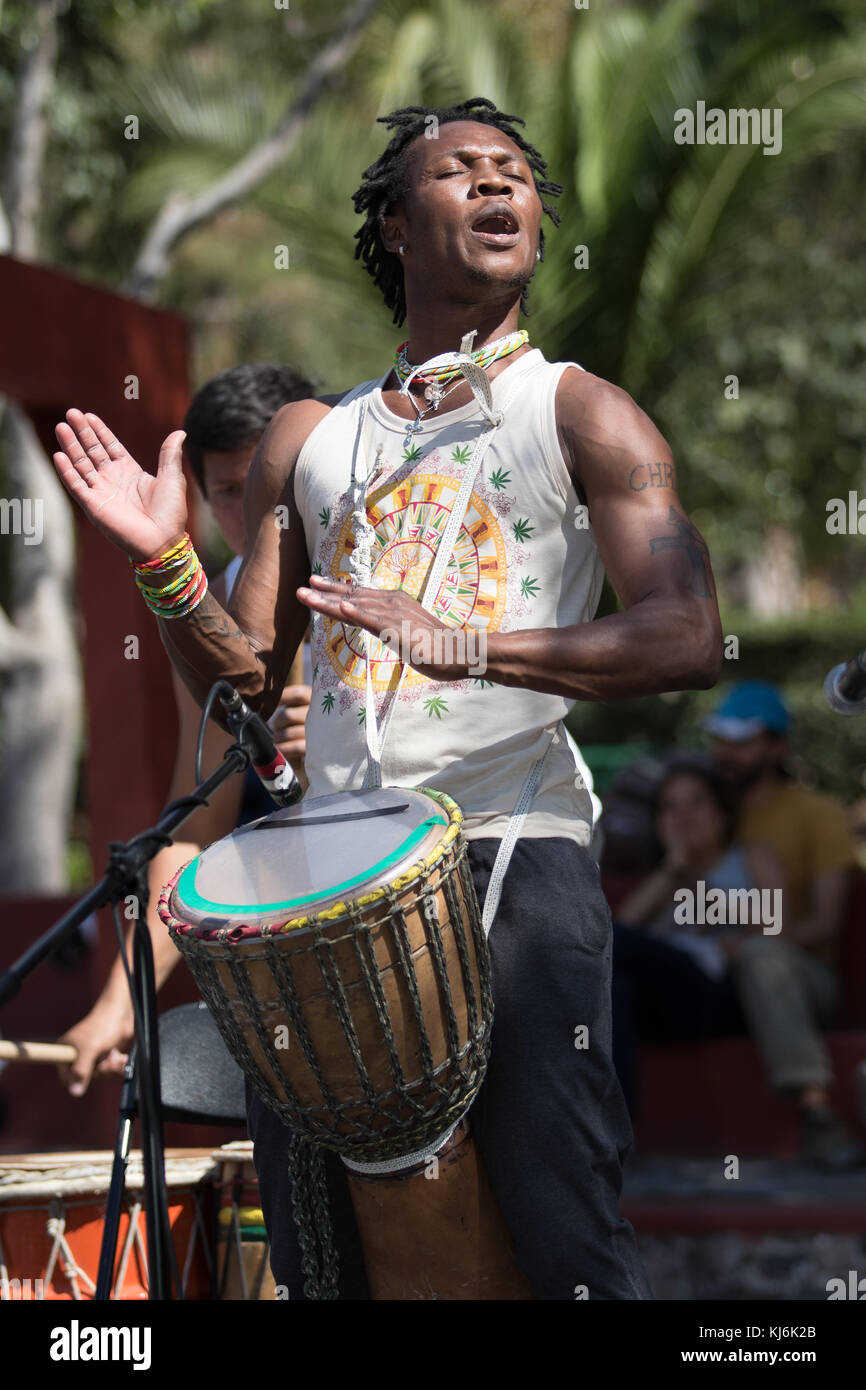 Percussionist hi-res stock photography and images - Alamy