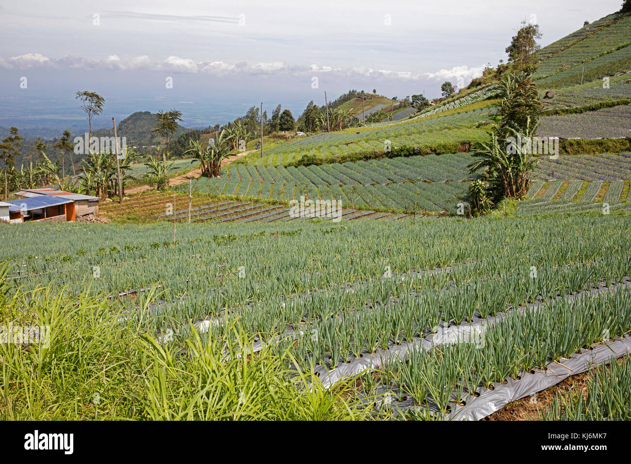Mount lawu hi-res stock photography and images - Alamy
