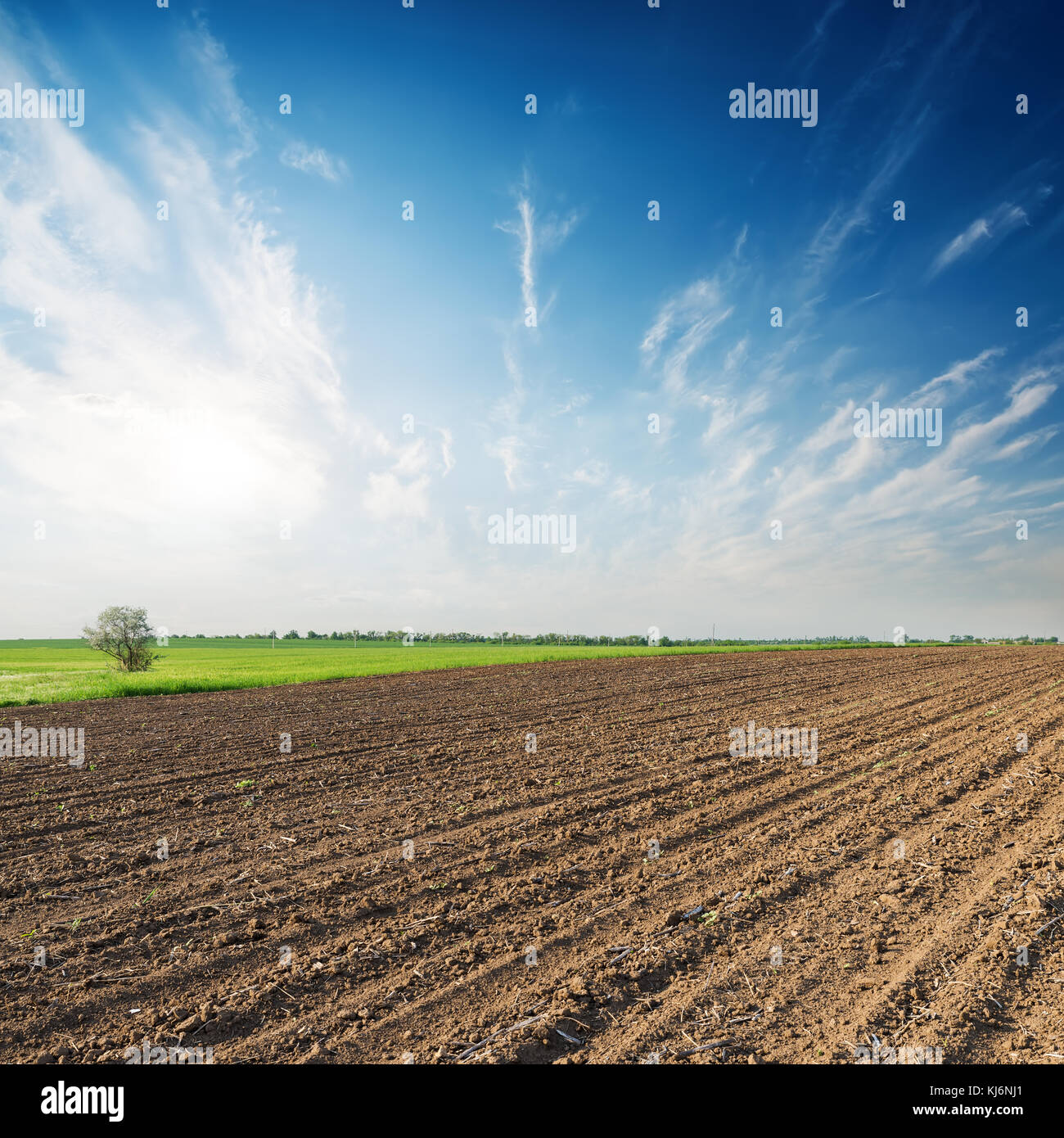 Spring agricultural field hi-res stock photography and images - Alamy