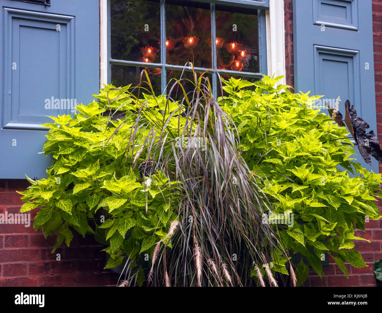 Window , Old City, Philadelphia, Pennsylvania, USA Stock Photo - Alamy