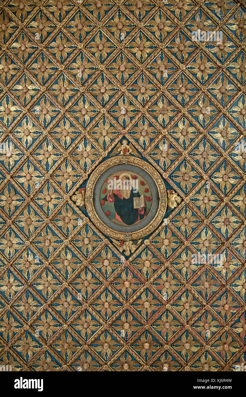 The gilded panelled ceiling of the Sala del Albergo Room XXV1 of the ...