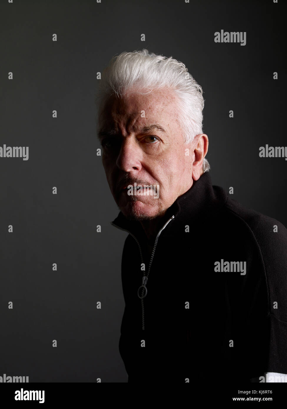 Nicky Haslam at the Oldie Literary Lunch 14-11-17 Stock Photo - Alamy