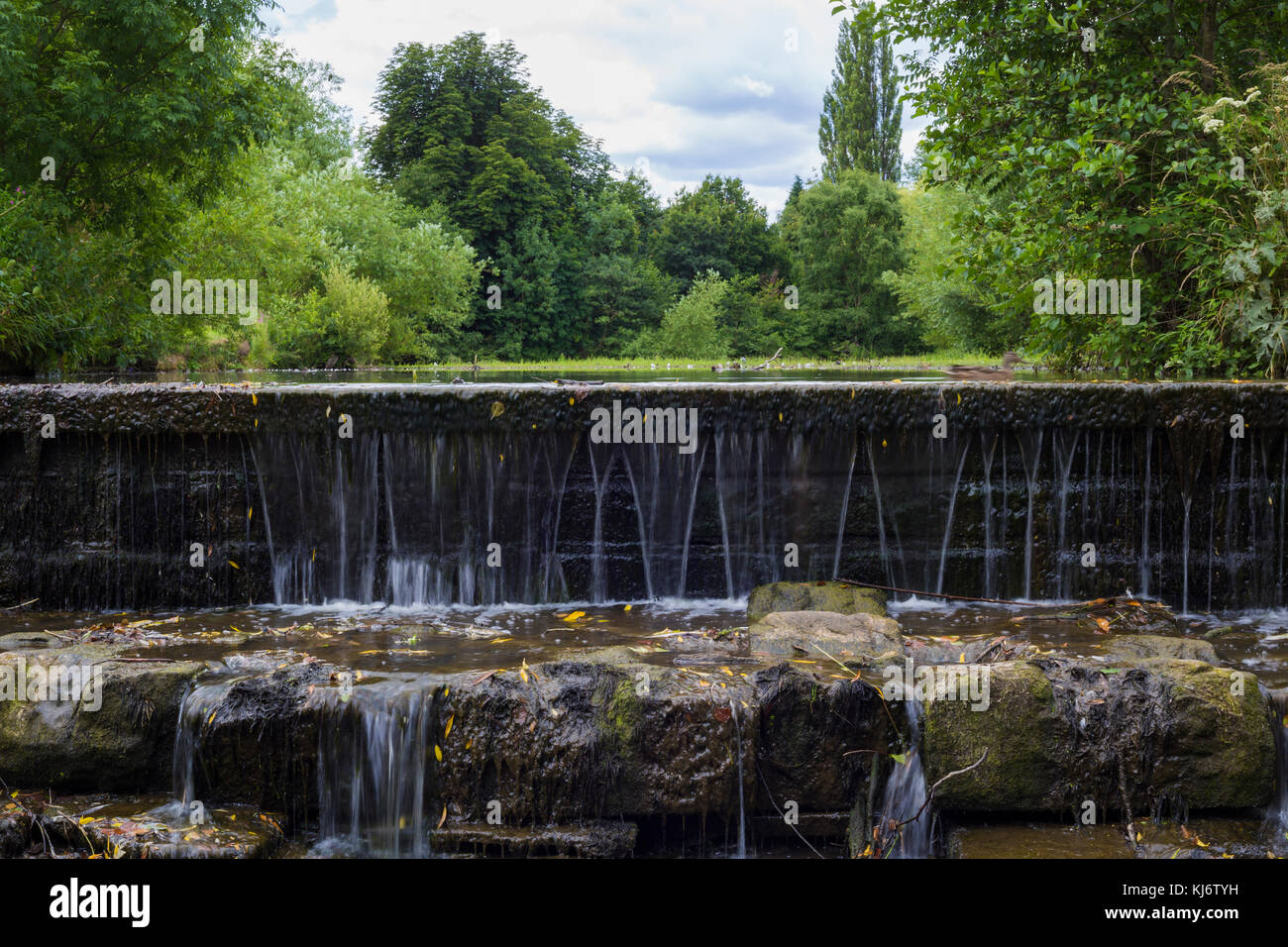 Tree debris in water hi-res stock photography and images - Alamy
