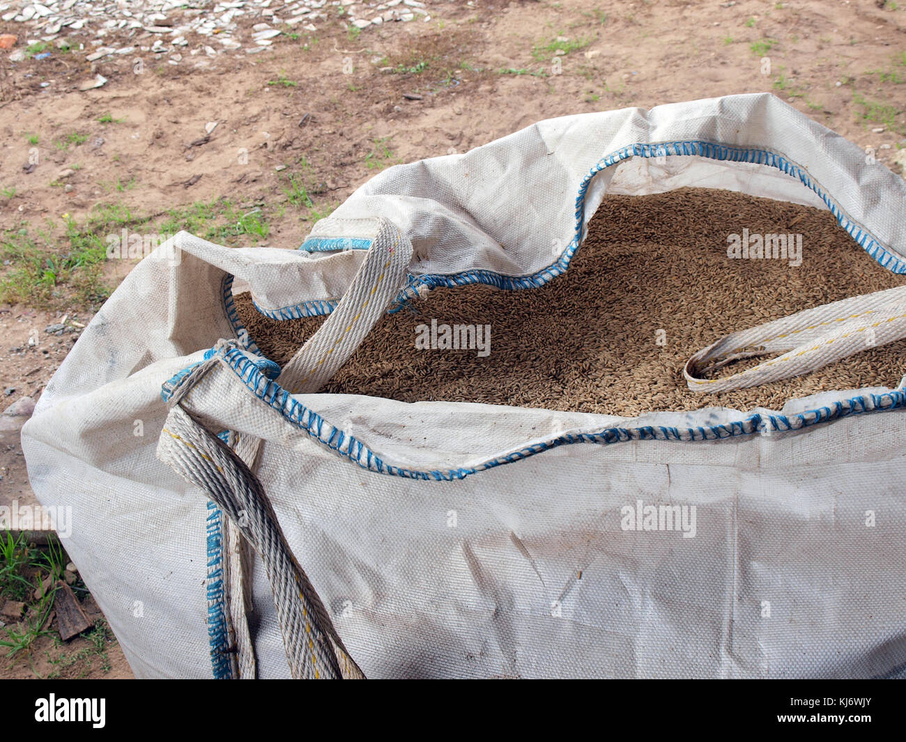 Grains of harvested cereals wheat in big bag close up Stock Photo - Alamy