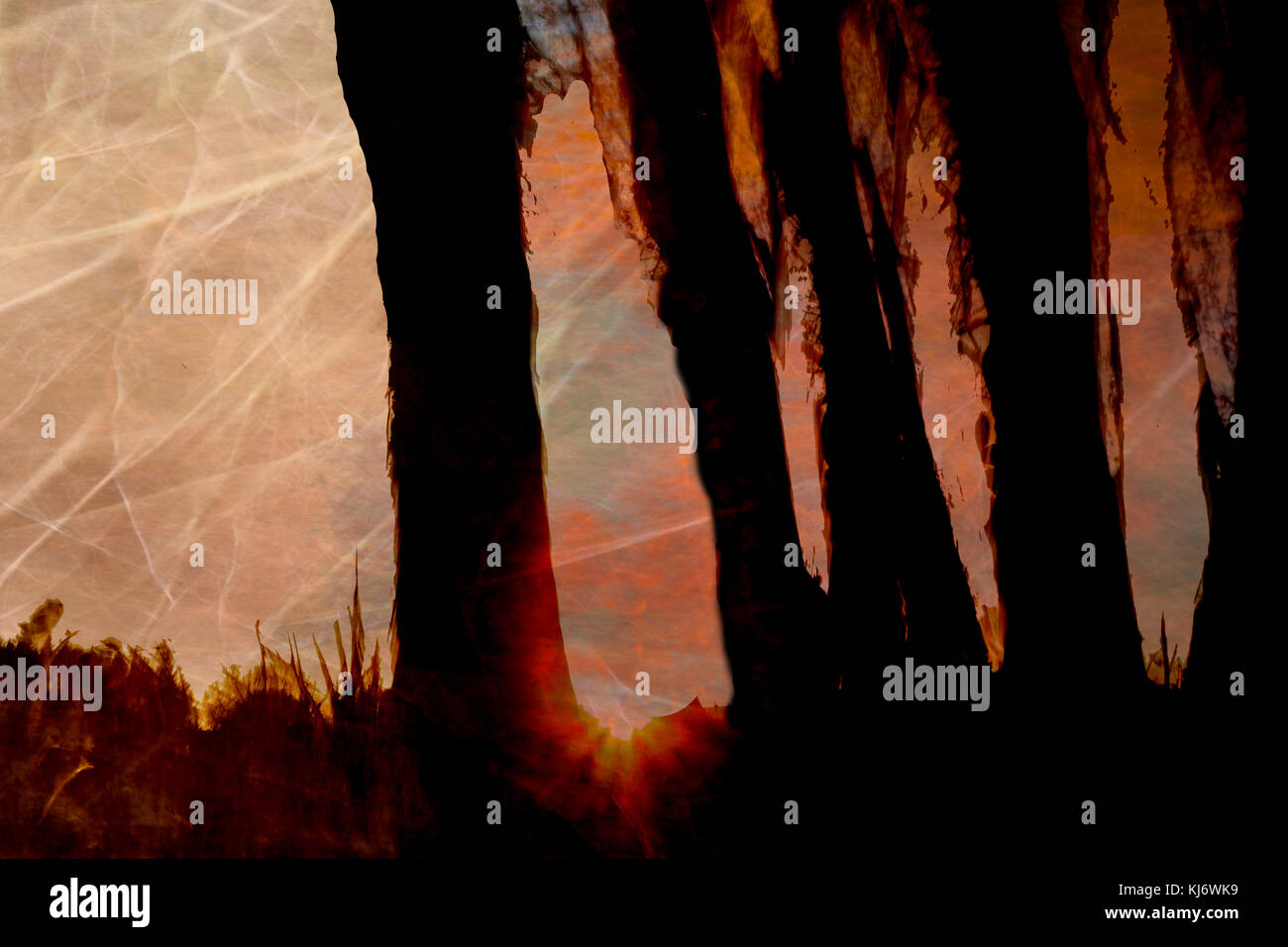 Creepy tree abstract Stock Photo - Alamy