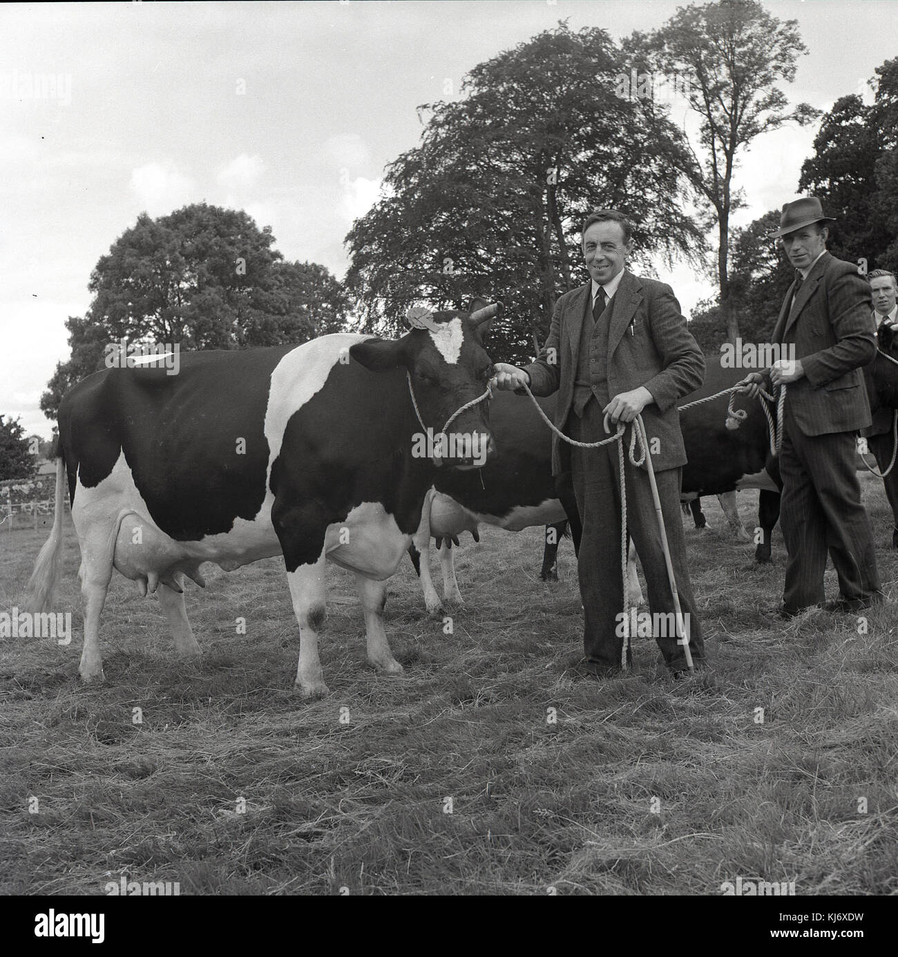 Farmers livestock ireland High Resolution Stock Photography and Images - Alamy