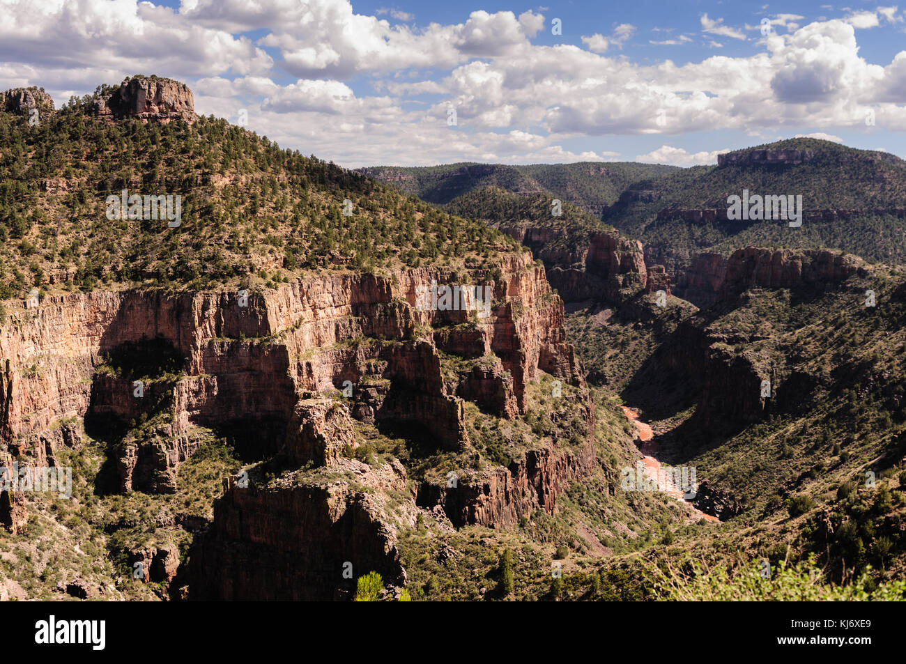 Becker butte lookout hi-res stock photography and images - Alamy