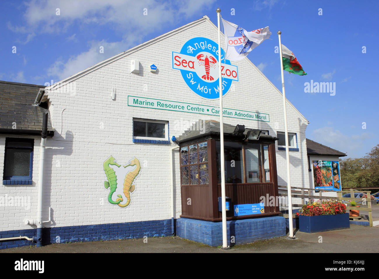 Anglesey Sea Zoo Stock Photo - Alamy
