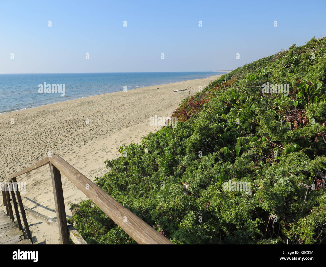 Sand Dunes and wooden stairs on Italian Coast Stock Photo - Alamy
