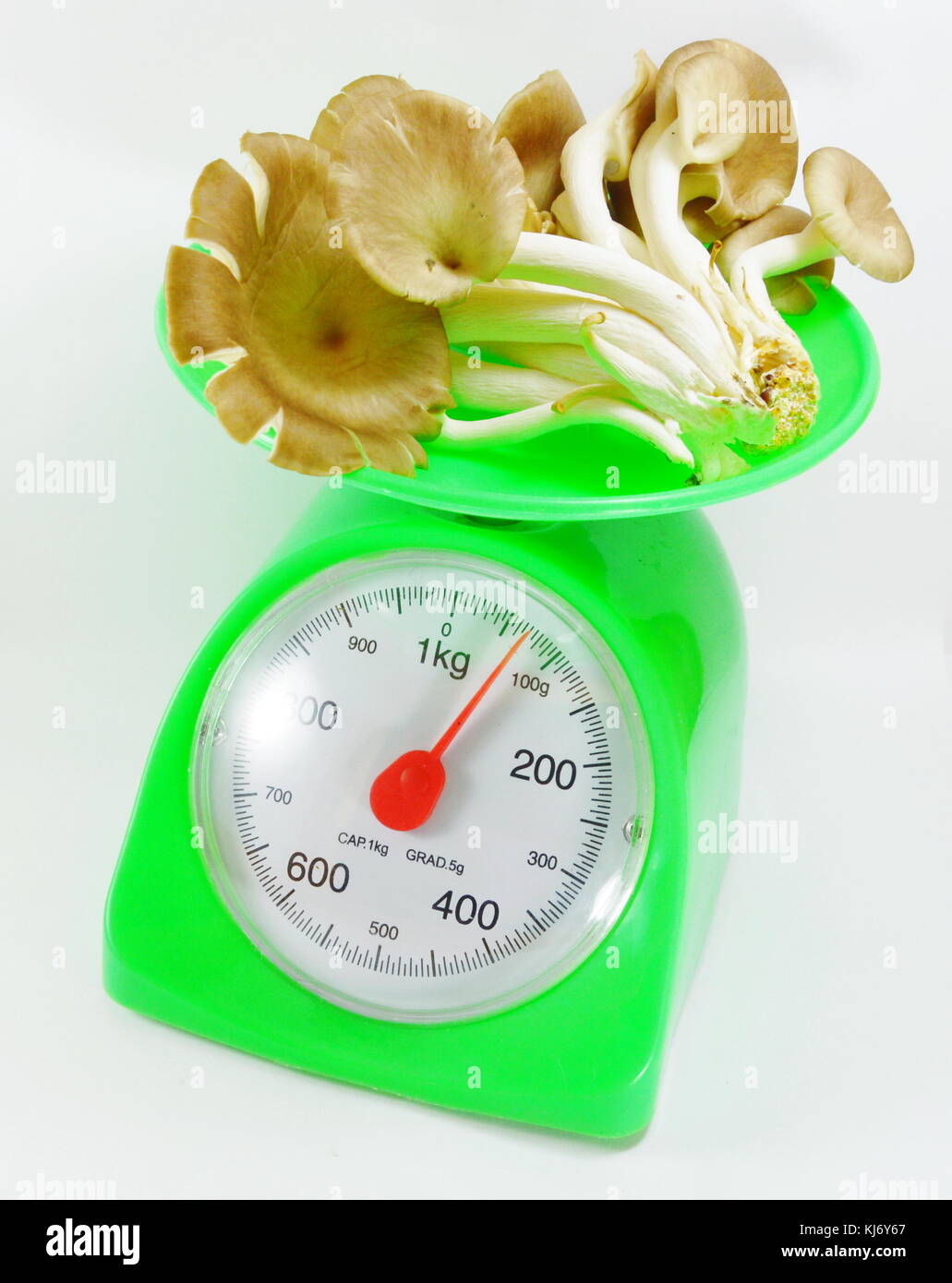 Oyster farming equipment hi-res stock photography and images - Alamy