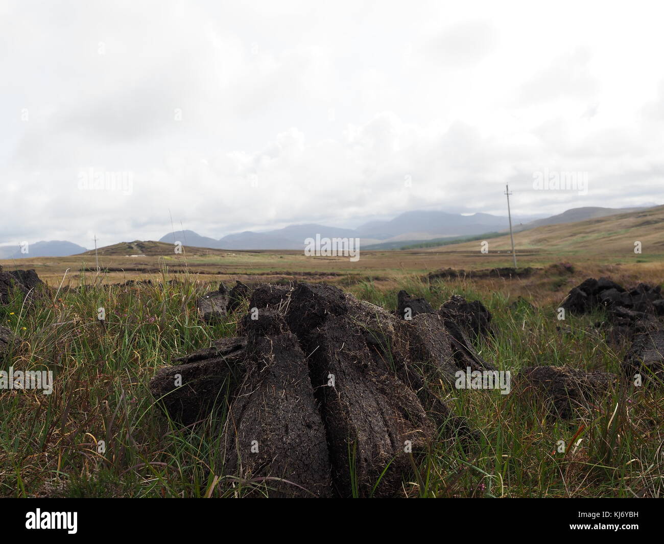 Peat bog harvest hi-res stock photography and images - Alamy