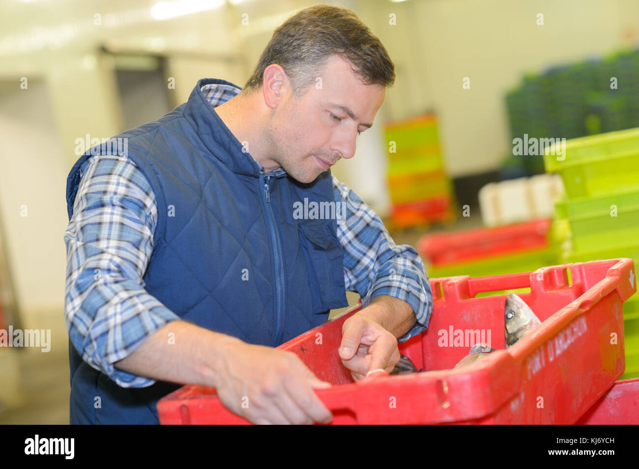 Fish finger factory hi-res stock photography and images - Alamy