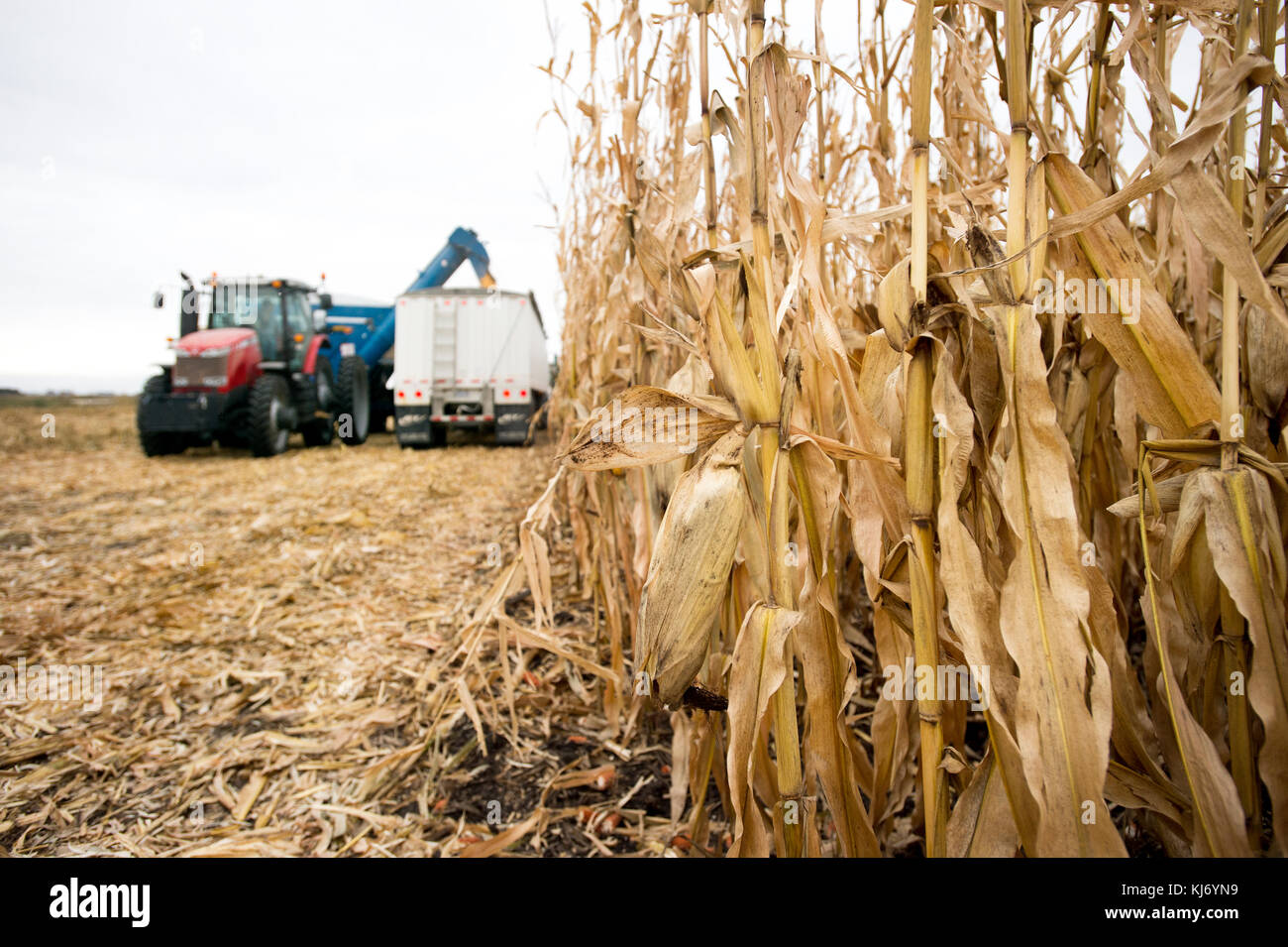 Unloading hopper hi-res stock photography and images - Alamy