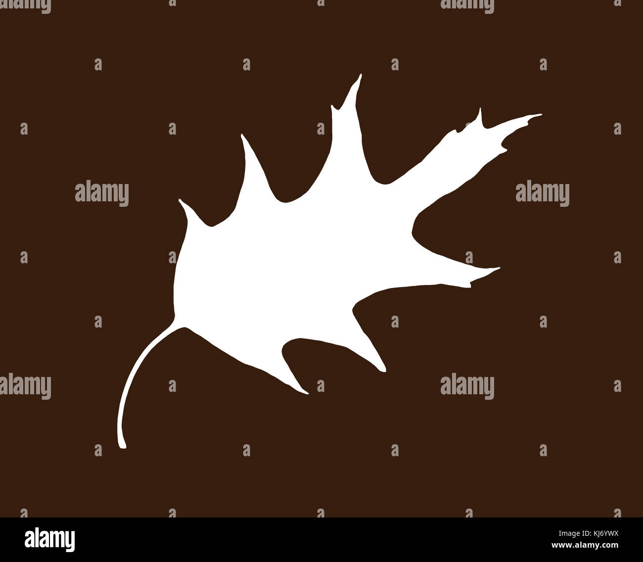White shape of oak leaf on the brown background. Symbolic natural ...