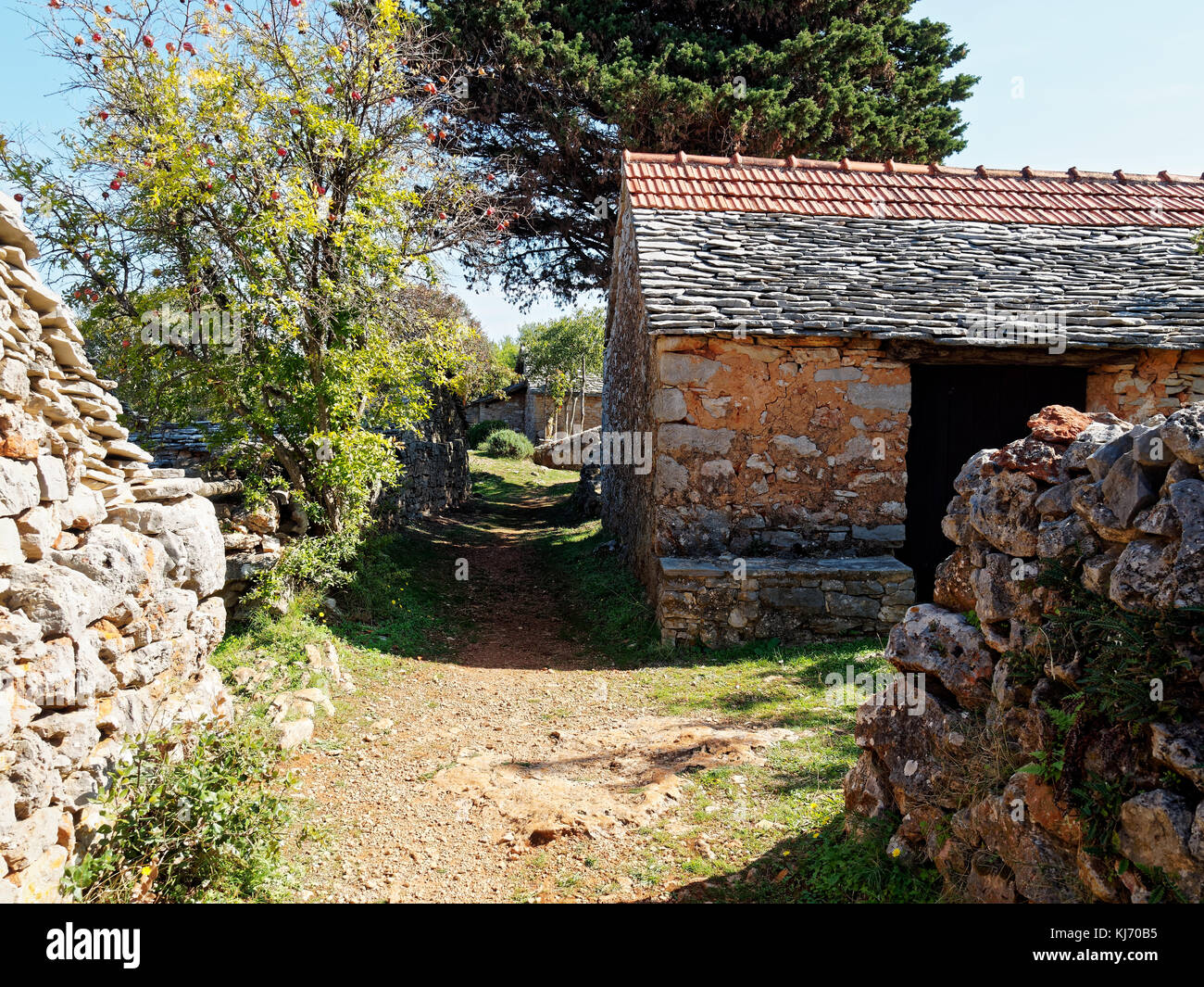Humac, Hvar, Croatia Stock Photo - Alamy