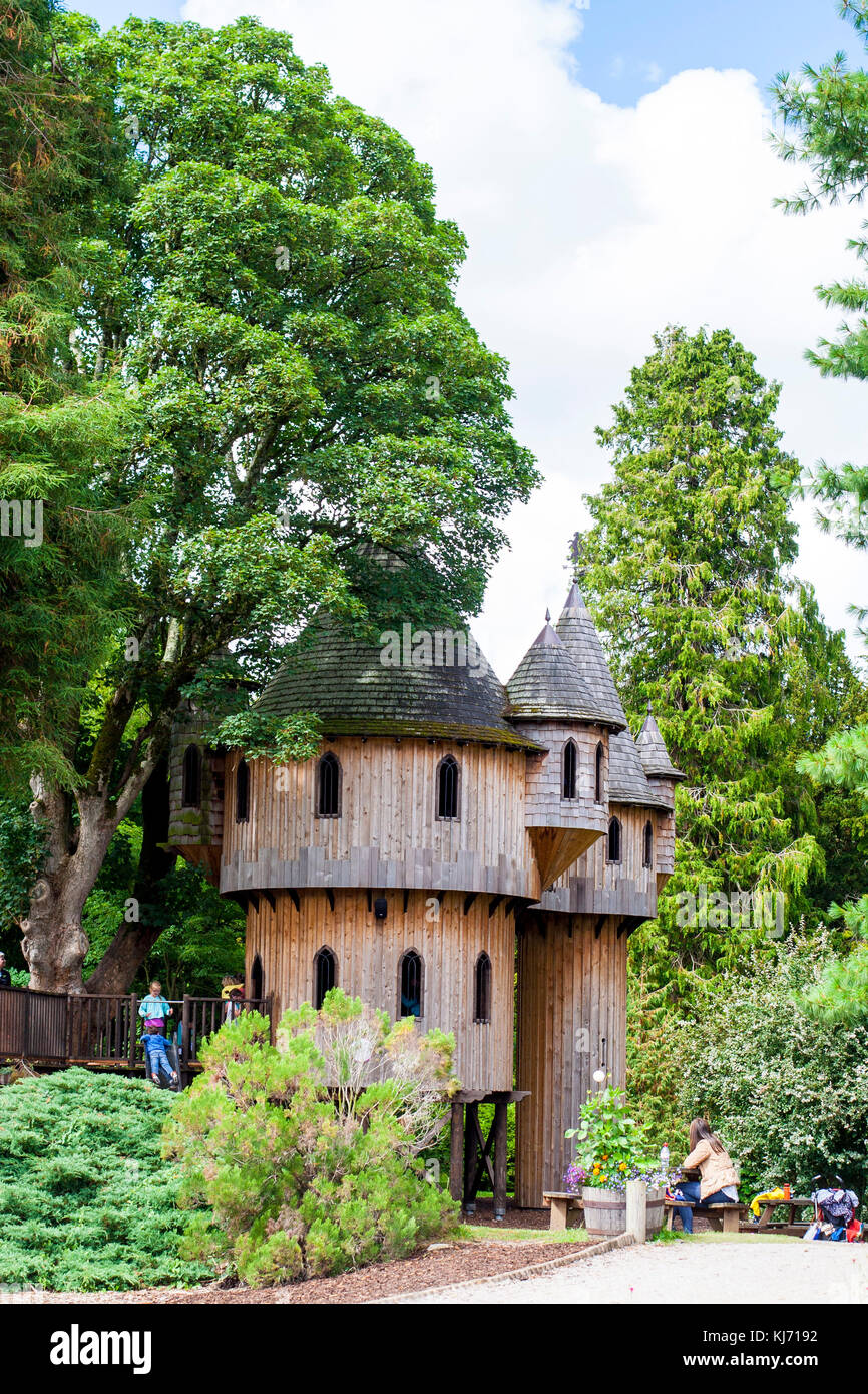 Ireland's largest treehouse at Birr Castle, Co. Offaly Stock Photo - Alamy