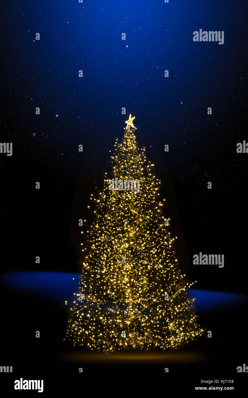 christmas tree; Holidays tree light on winter night background Stock ...