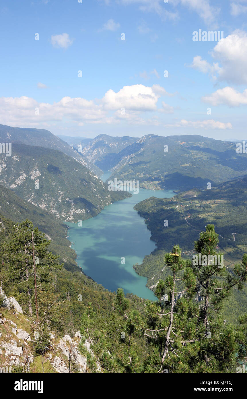 Drina river canyon viewpoint Banjska stena Tara mountain landscape ...