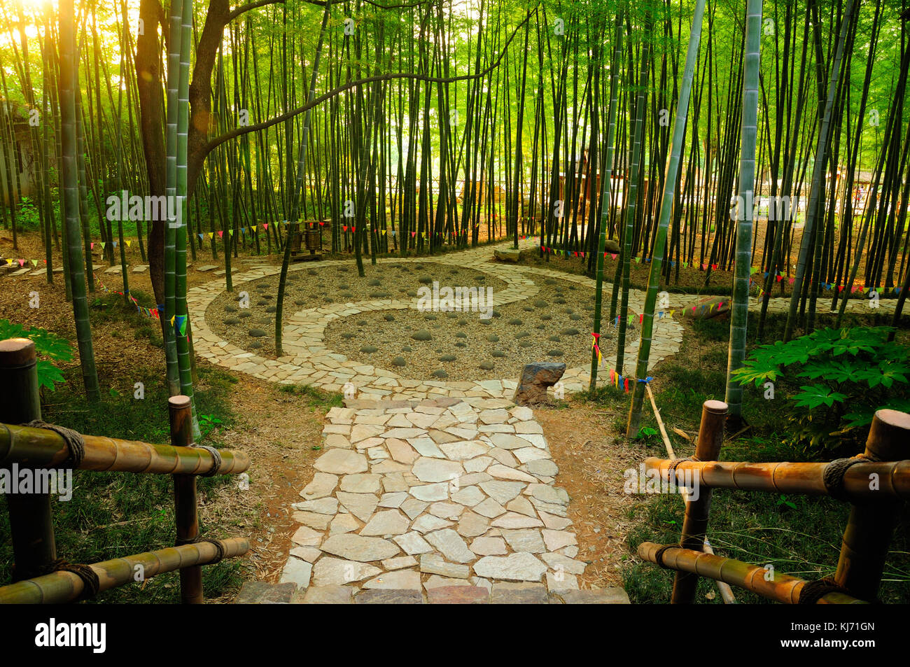 A taoist Ying and yang symbol walking path within a bamboo forest in ...