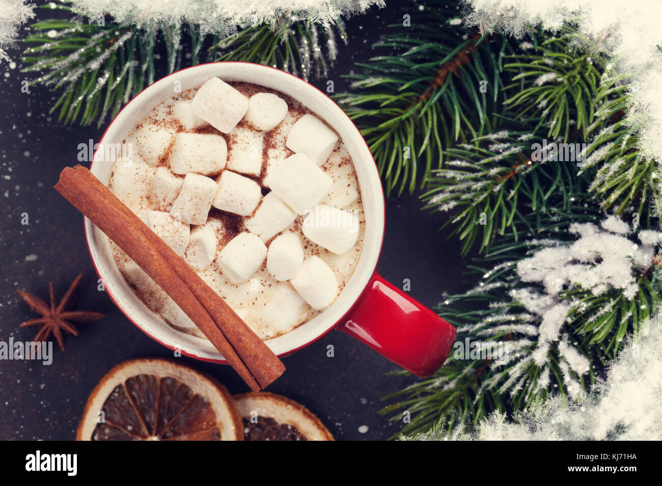 Christmas fir tree and hot chocolate with marshmallow. Top view. Toned ...