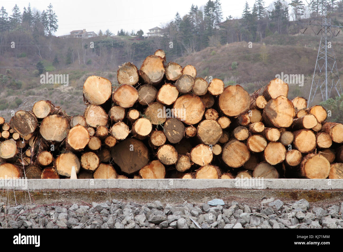 Stack of logs in a pile on the ground Stock Photo - Alamy