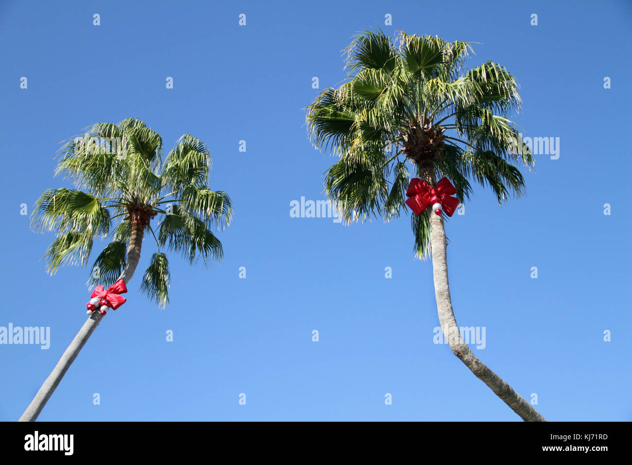 Red christmas bows hi-res stock photography and images - Alamy