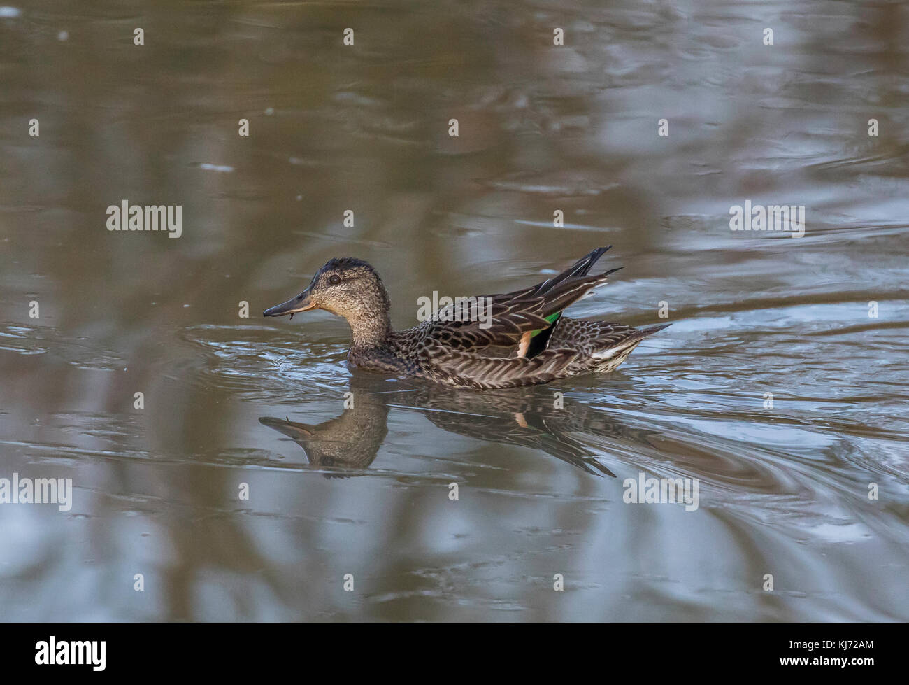 Rowley lake hi-res stock photography and images - Alamy